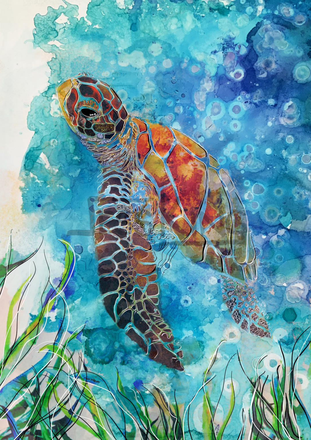 A Turtle Ink - Jess King Artist
