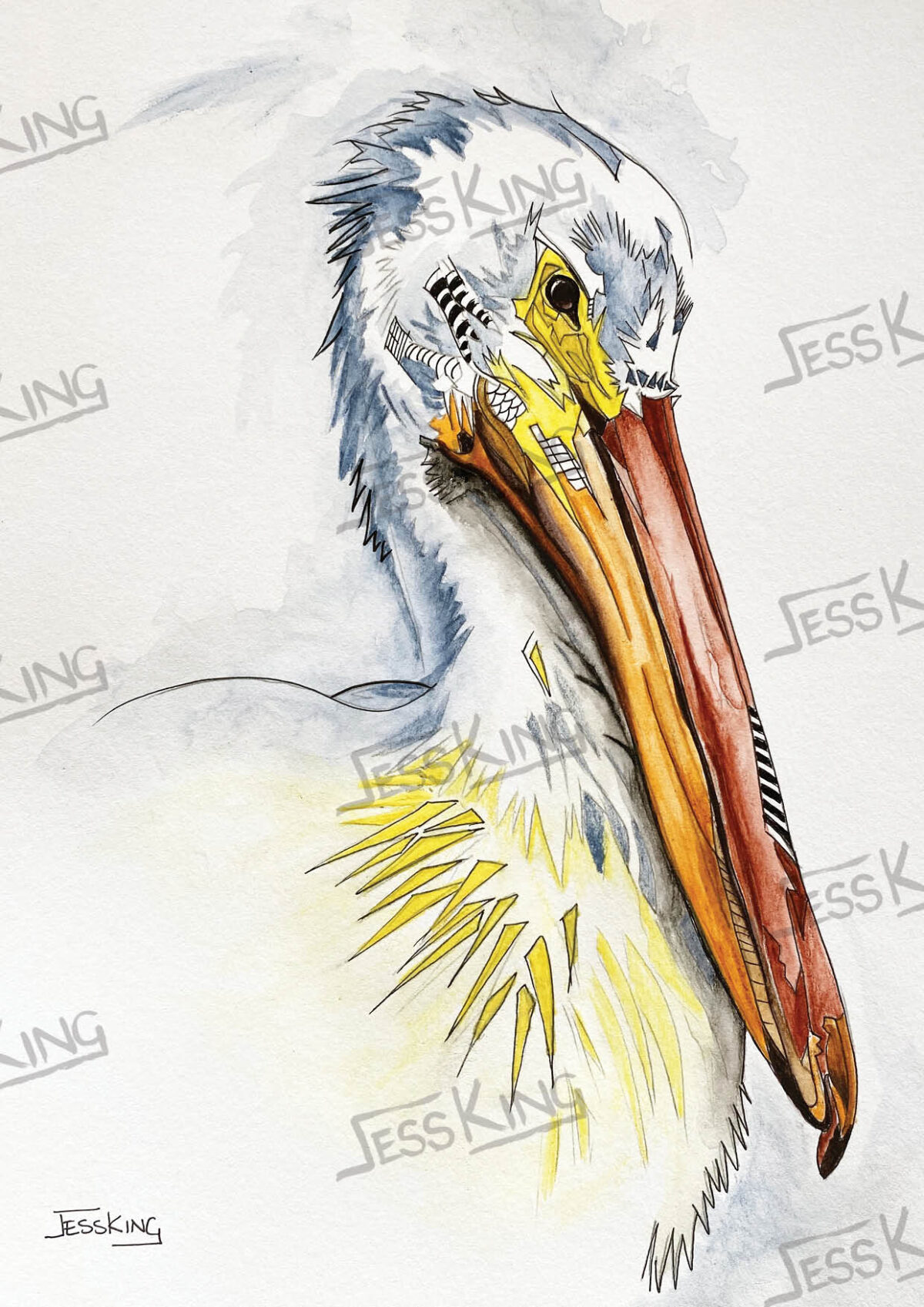 Pelican Pose Print - Jess King Artist