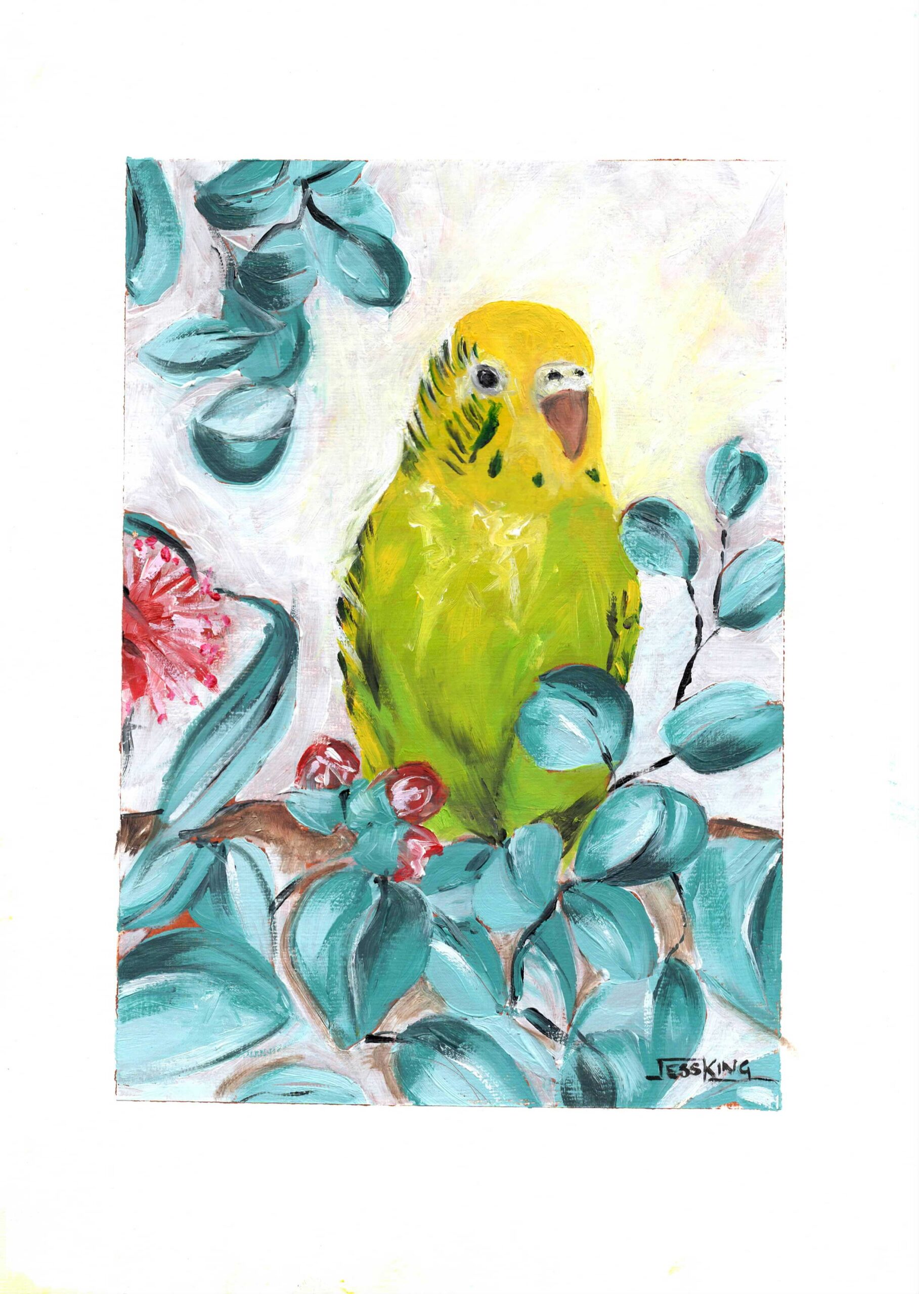 Budgie Love - Jess King Artist